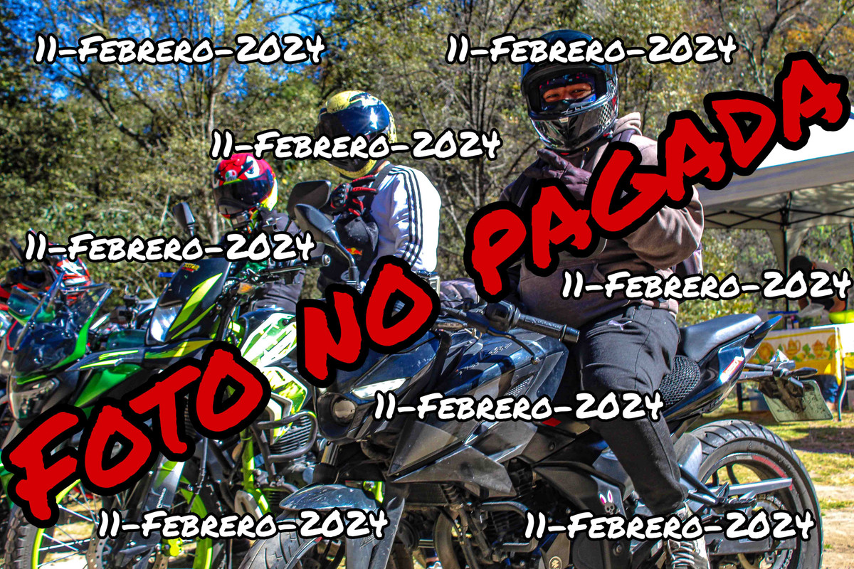 SC 14 — Postimages