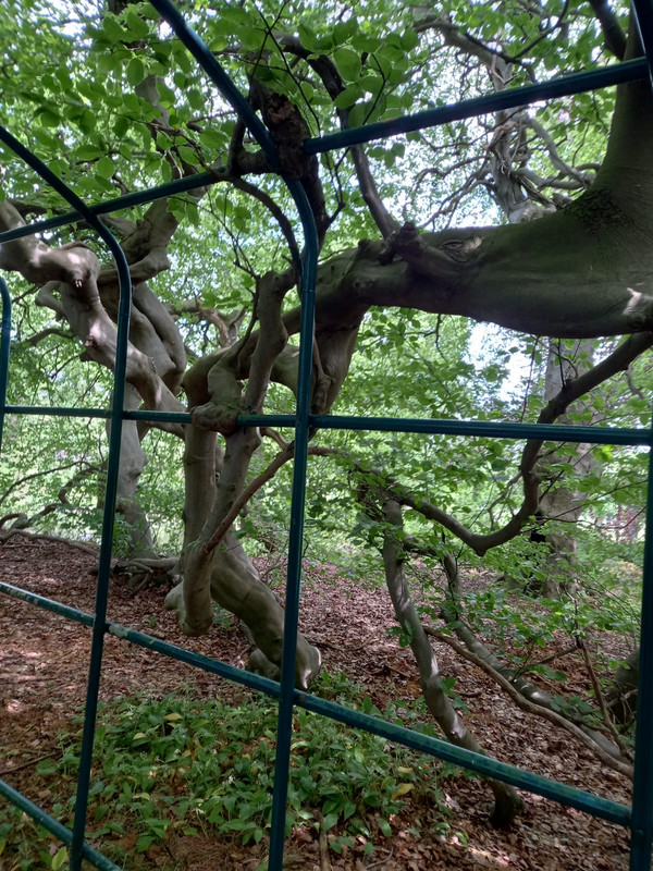 IMG 20240517 WA0180 — Postimages