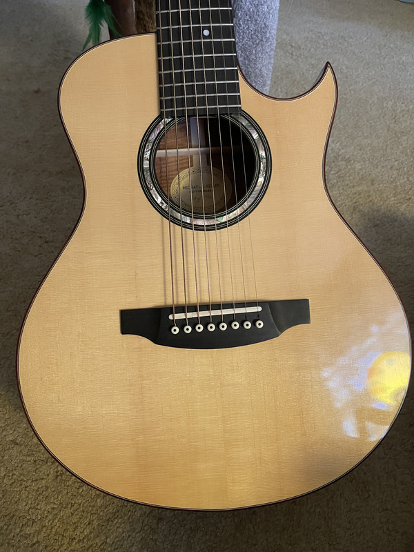 Acoustic pickup for a 8 string acoustic? - The Acoustic Guitar Forum