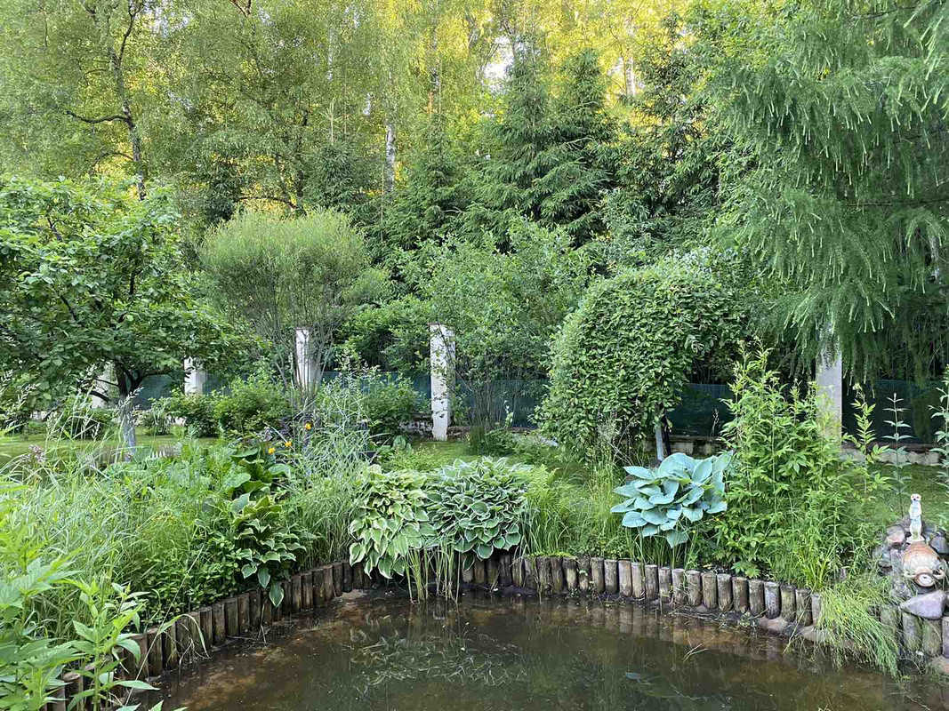 24936875 416 C 42 E1 A66 B 911910631 A40 — Postimages