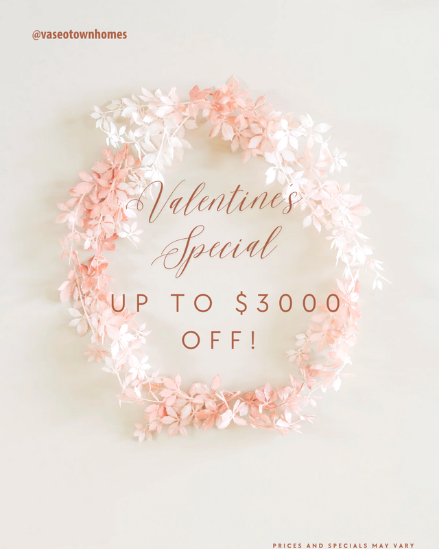 Vaseo Townhomes | Custom Page