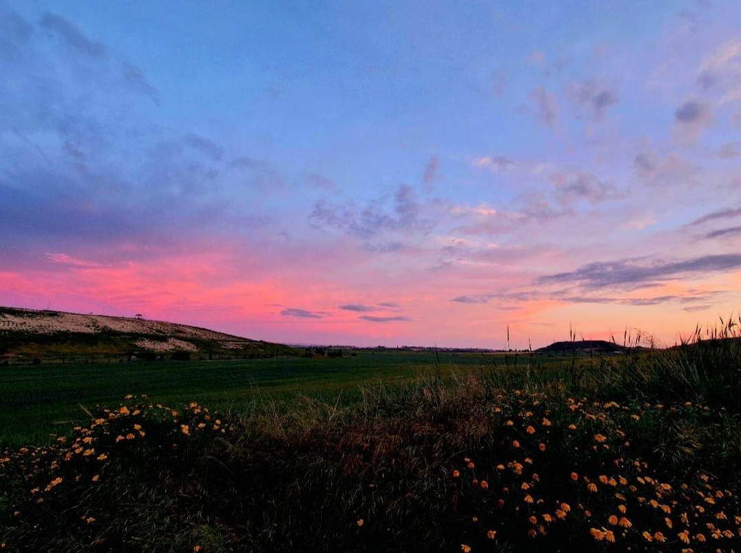 C0 F3 CE5 C ACC4 4240 916 E 83780 FFCC03 A — Postimages