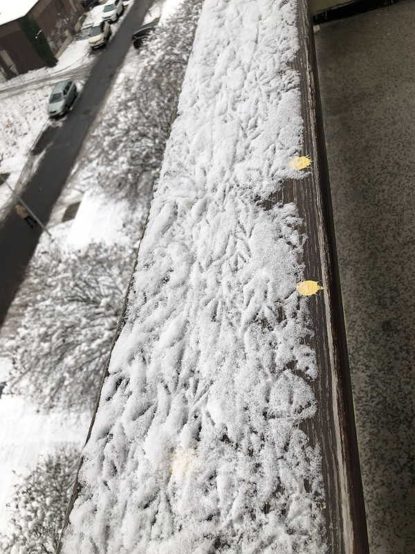 IMG 1969 — Postimages