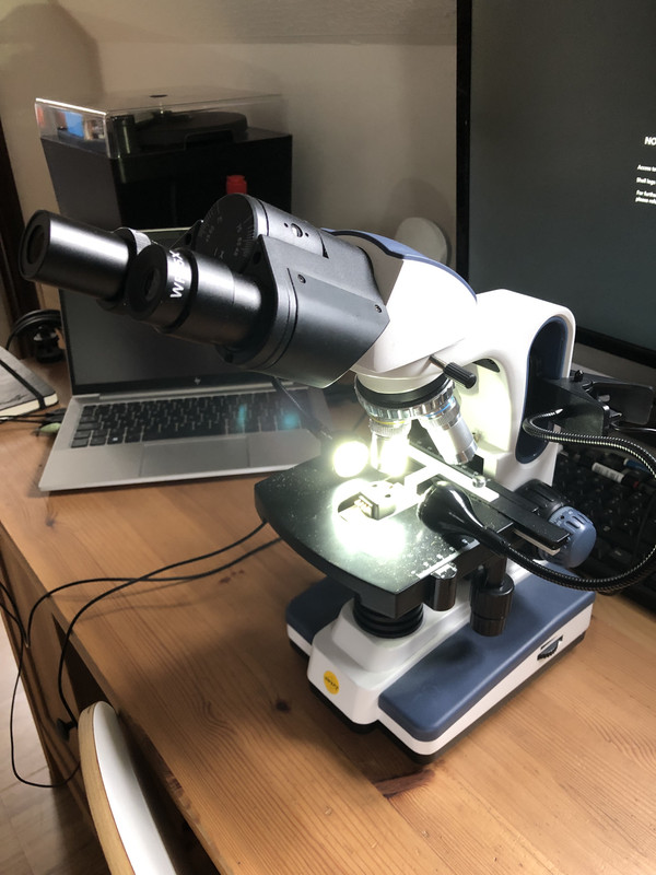 Microscopes are really useful! (page 1) - Cartridges and Styli - Lenco ...