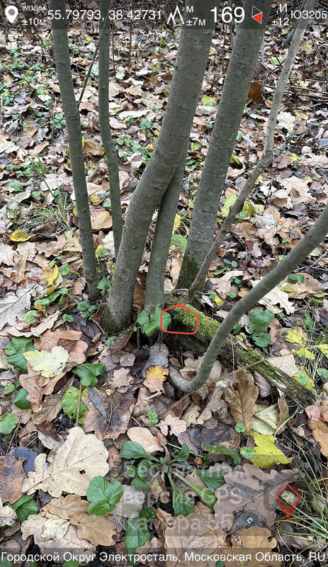 EFA481 E0 7 B16 4162 8 C0 B BB2 B6120 B9 C4 — Postimages