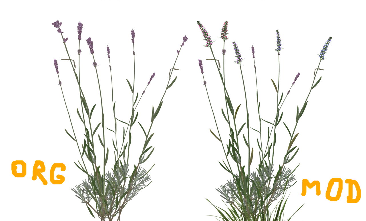 mod demo — Postimages