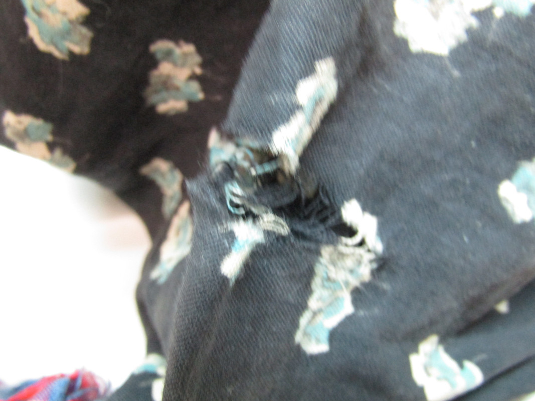 IMG 8380 — Postimages