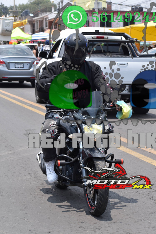 AVQ 7298 — Postimages