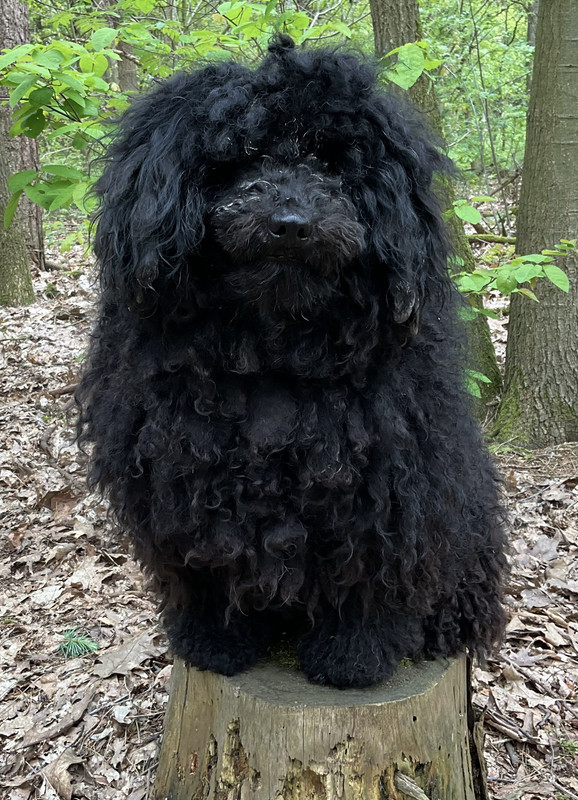 IMG 1250 — Postimages