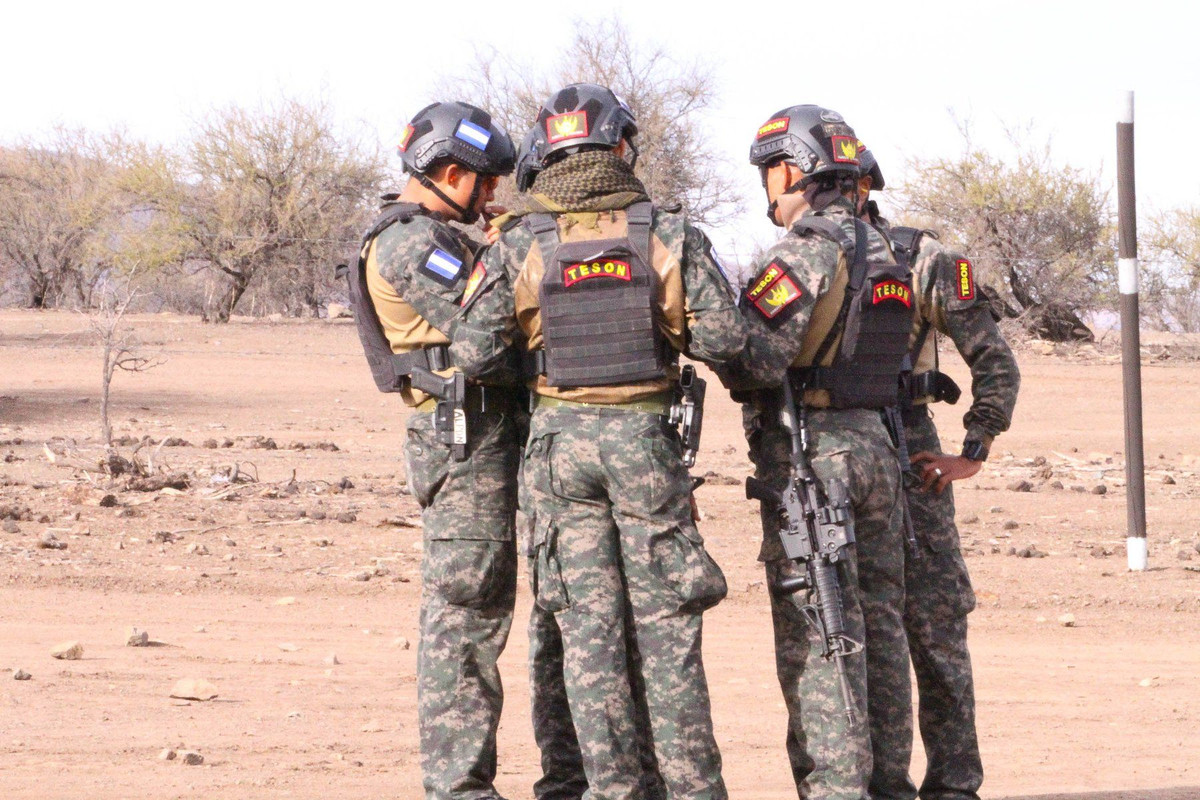 Fuerzas Comando Chile 2019 5497998 A107 — Postimages