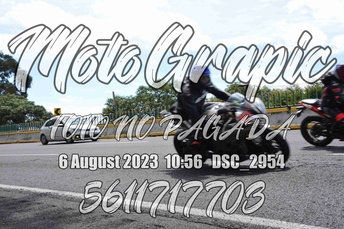 motgr DSC 2954 — Postimages