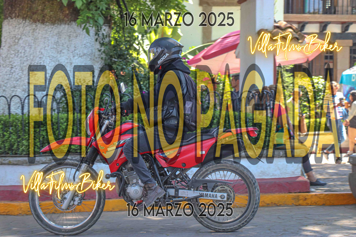 CV 2026 — Postimages