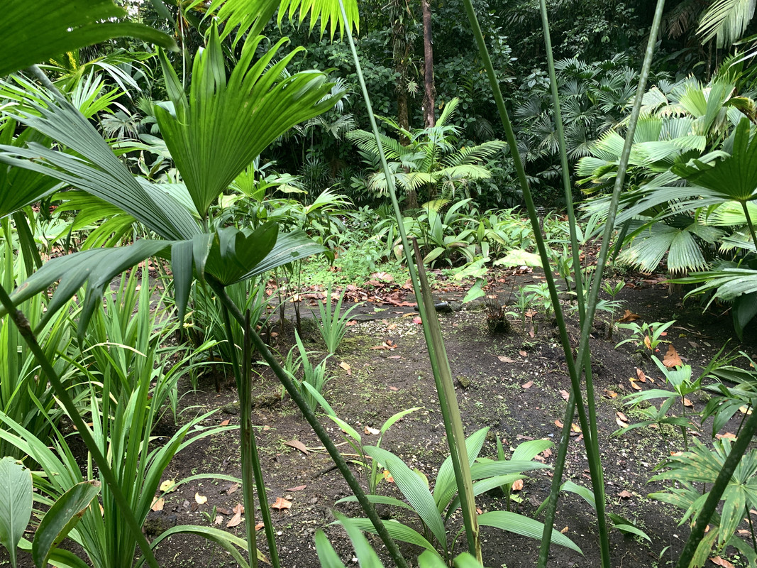 IMG 5467 — Postimages