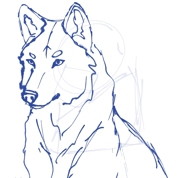 Album — Postimages