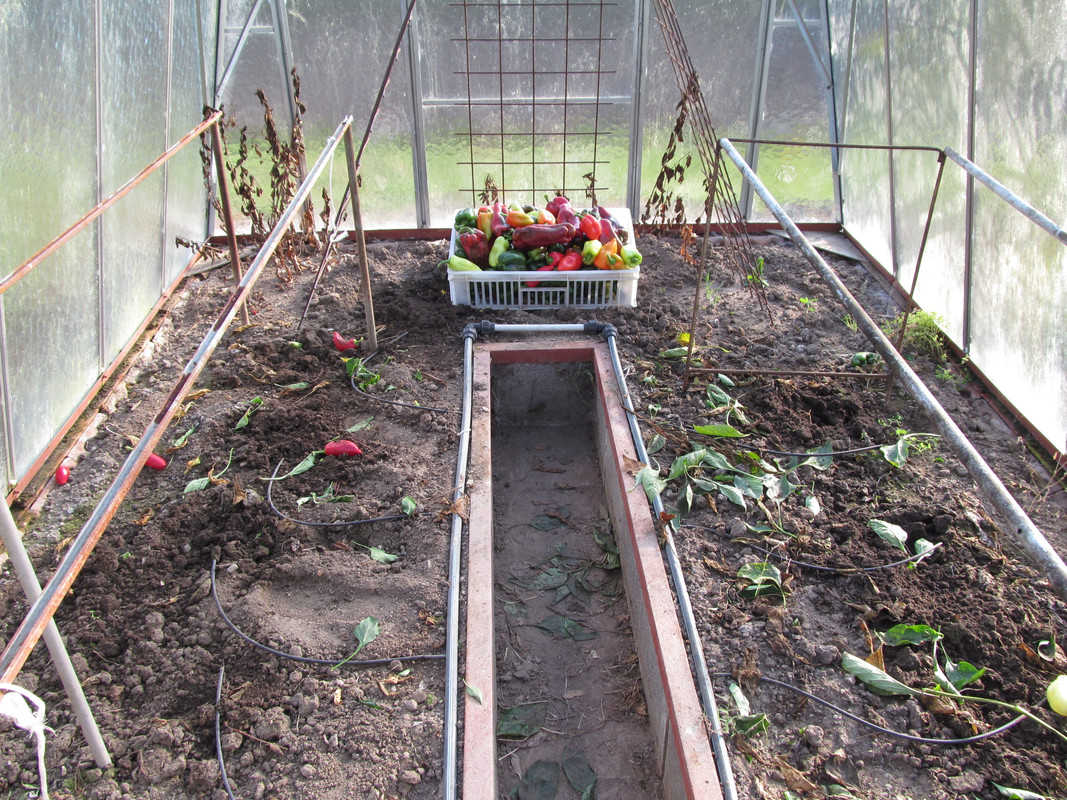 IMG 5822 — Postimages