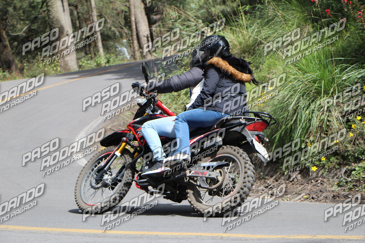 IMG 7952 wm 941483 0000000002 watermarked — Postimages