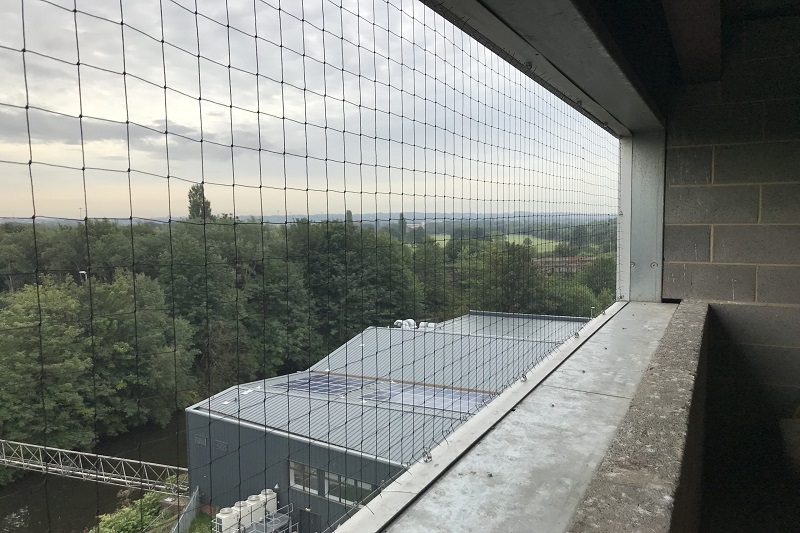 Everything You Need To Know About Bird Proofing - Real Estate Blog ...