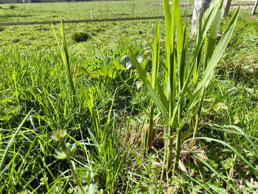 IMG 20250411 154800 — Postimages