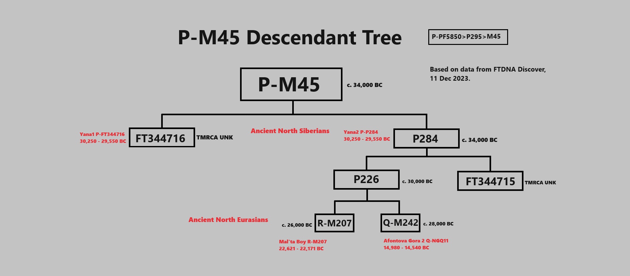 P M45 Descendant Tree w ancient samples in red — Postimages
