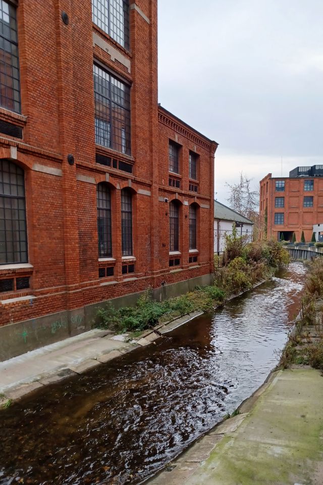 tramwaj w Pabianicach 486 — Postimages