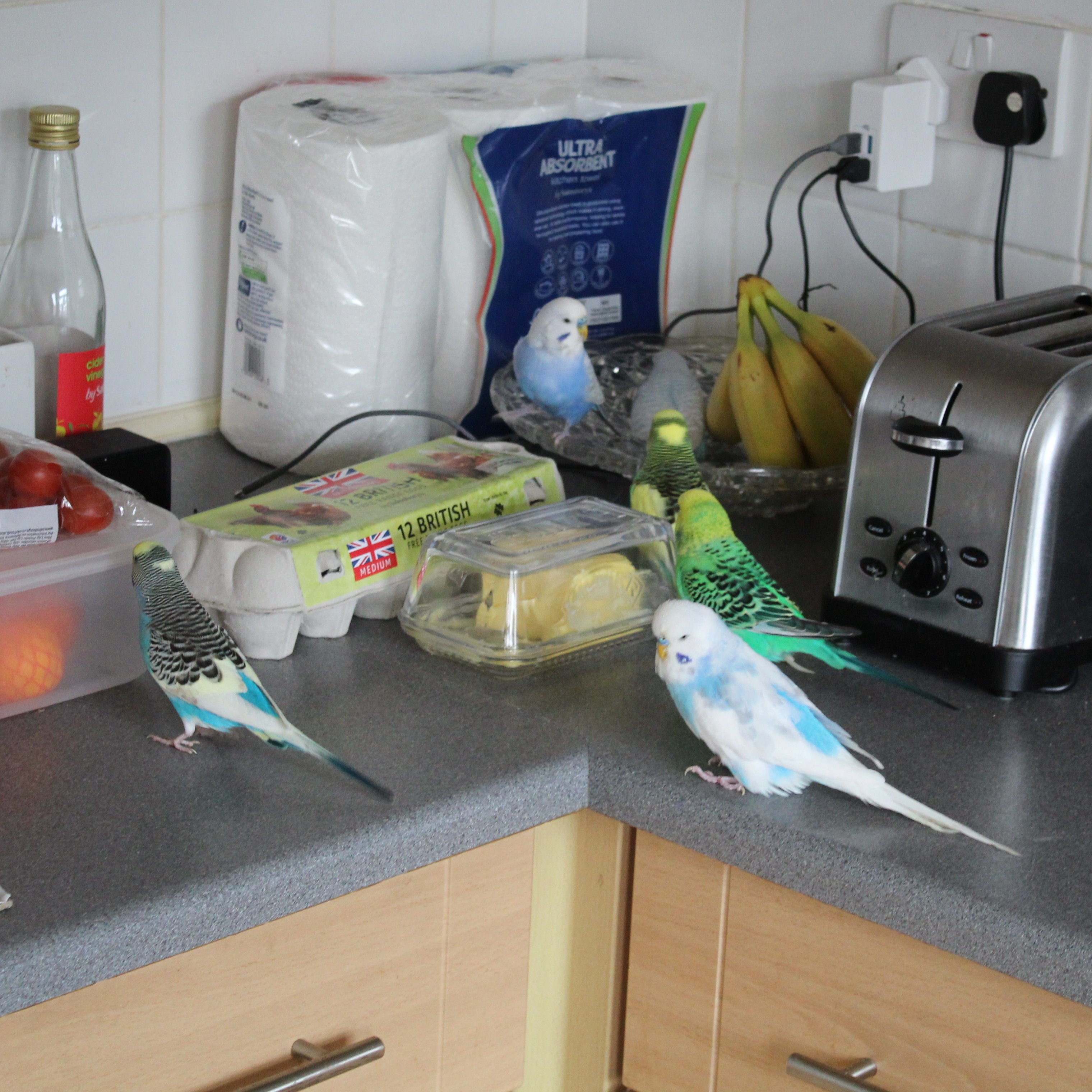 20230730165355 img 0686 — Postimages