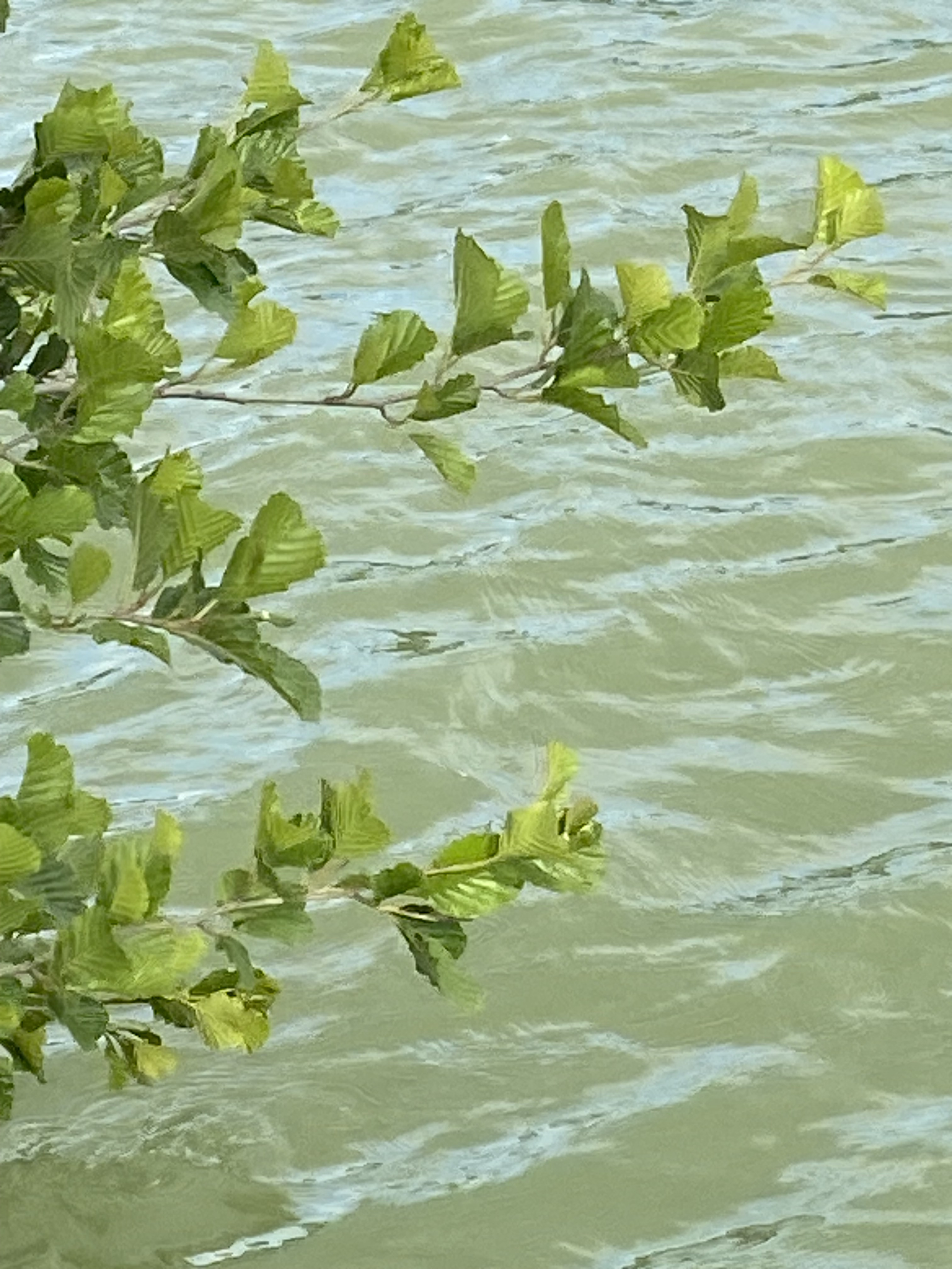 IMG 1896 — Postimages