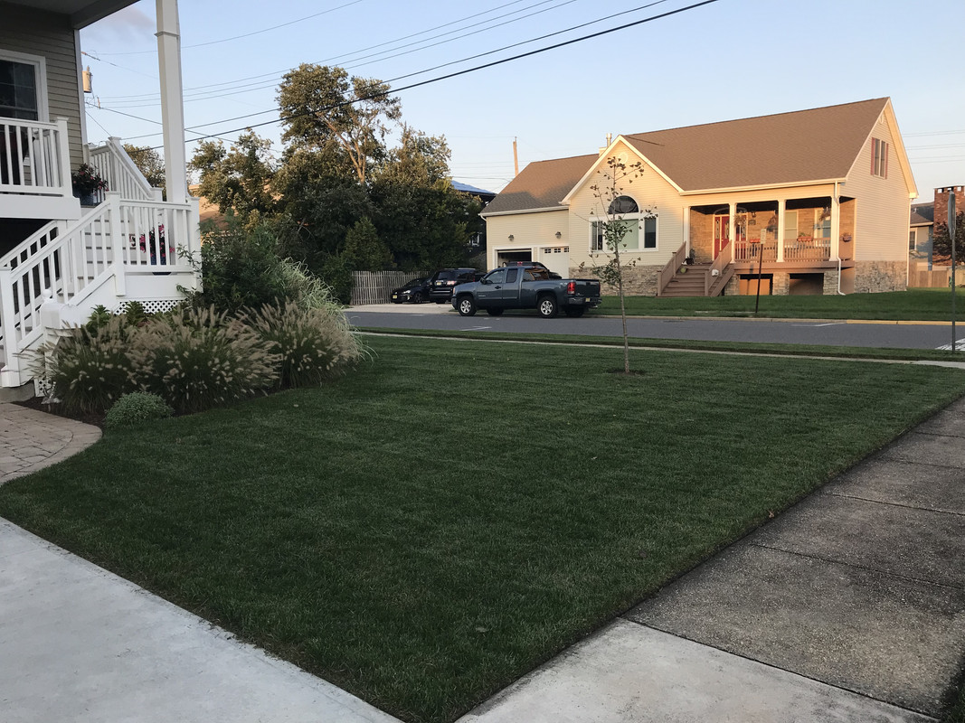 IMG 9353 — Postimages