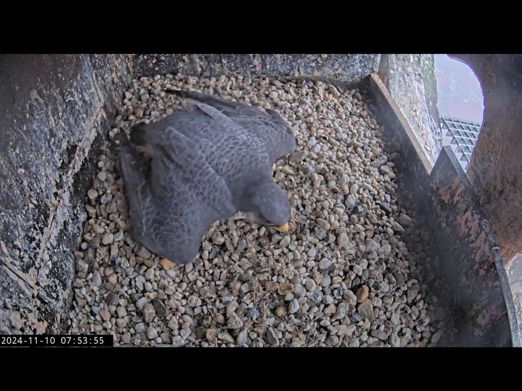 IMG 2018 — Postimages