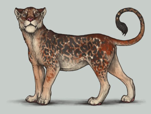 🧿NYX’S LION AUCTION🧿COLORFUL+PATCHES :|: Lioden