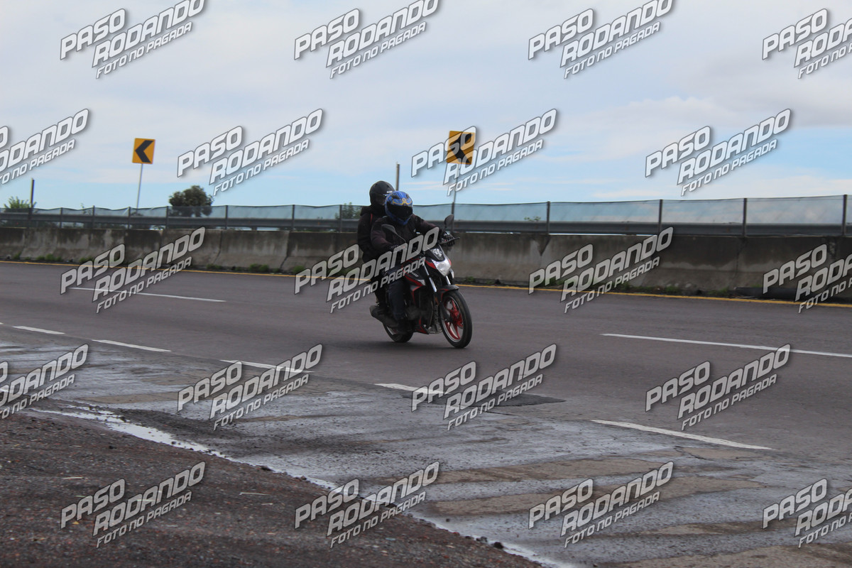 IMG 6532 wm 27750 5 watermarked — Postimages