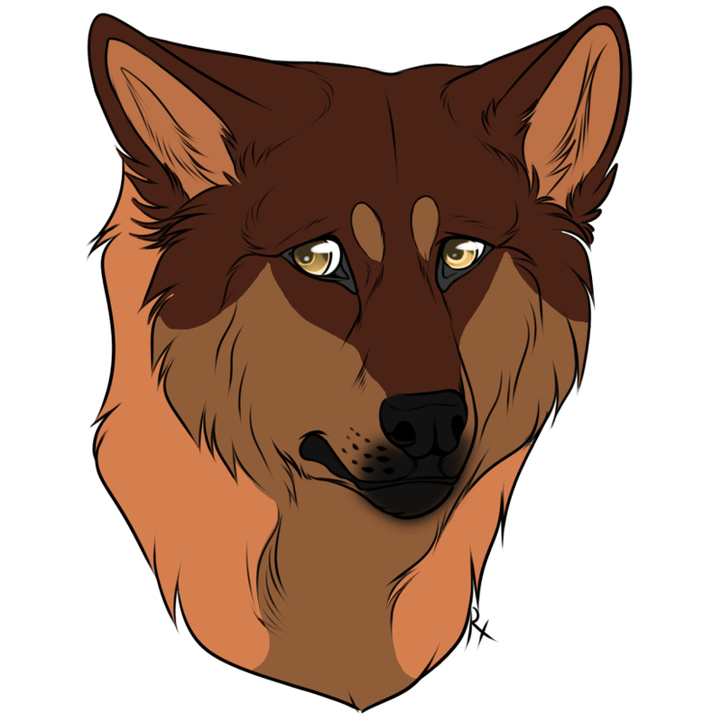 Reed ( My OC) — Postimages