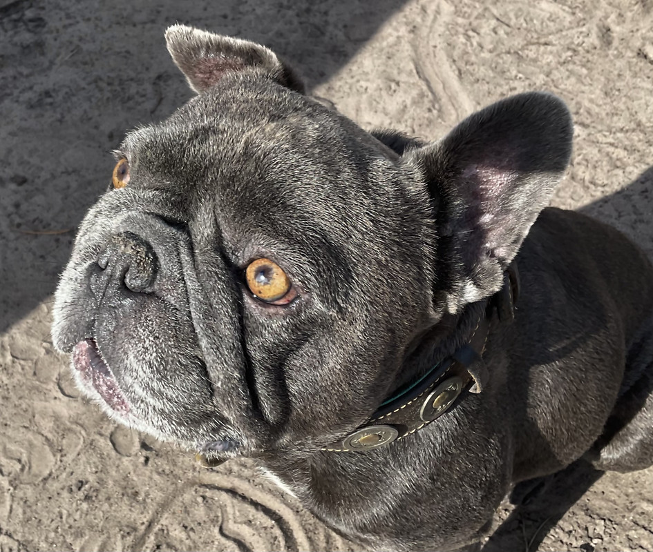 IMG 0465 — Postimages