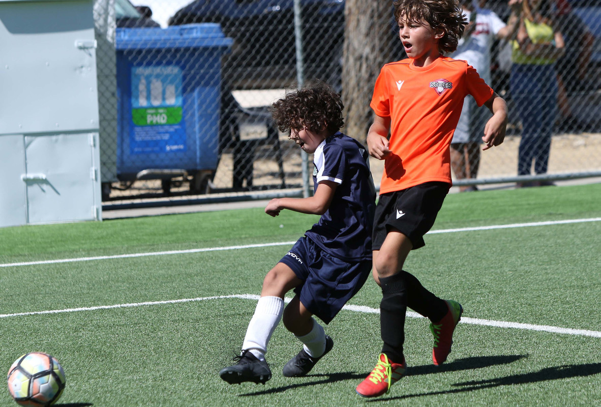 VIK 4202 — Postimages