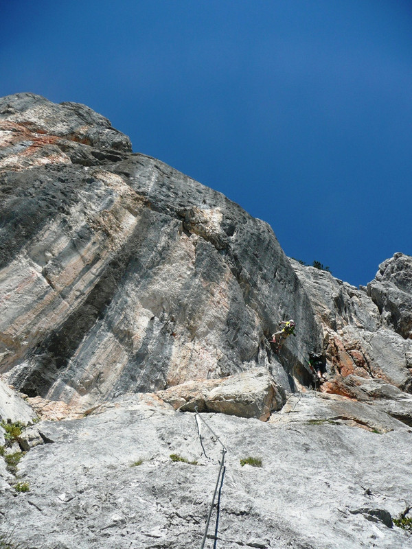 2021 142 — Postimages