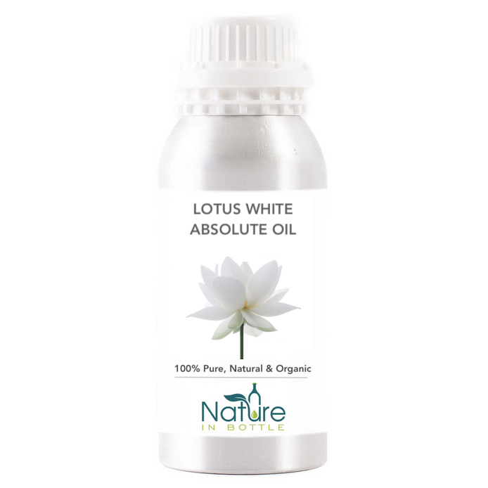 Benefits Of White Lotus Essential Oil at Jill Sapp blog