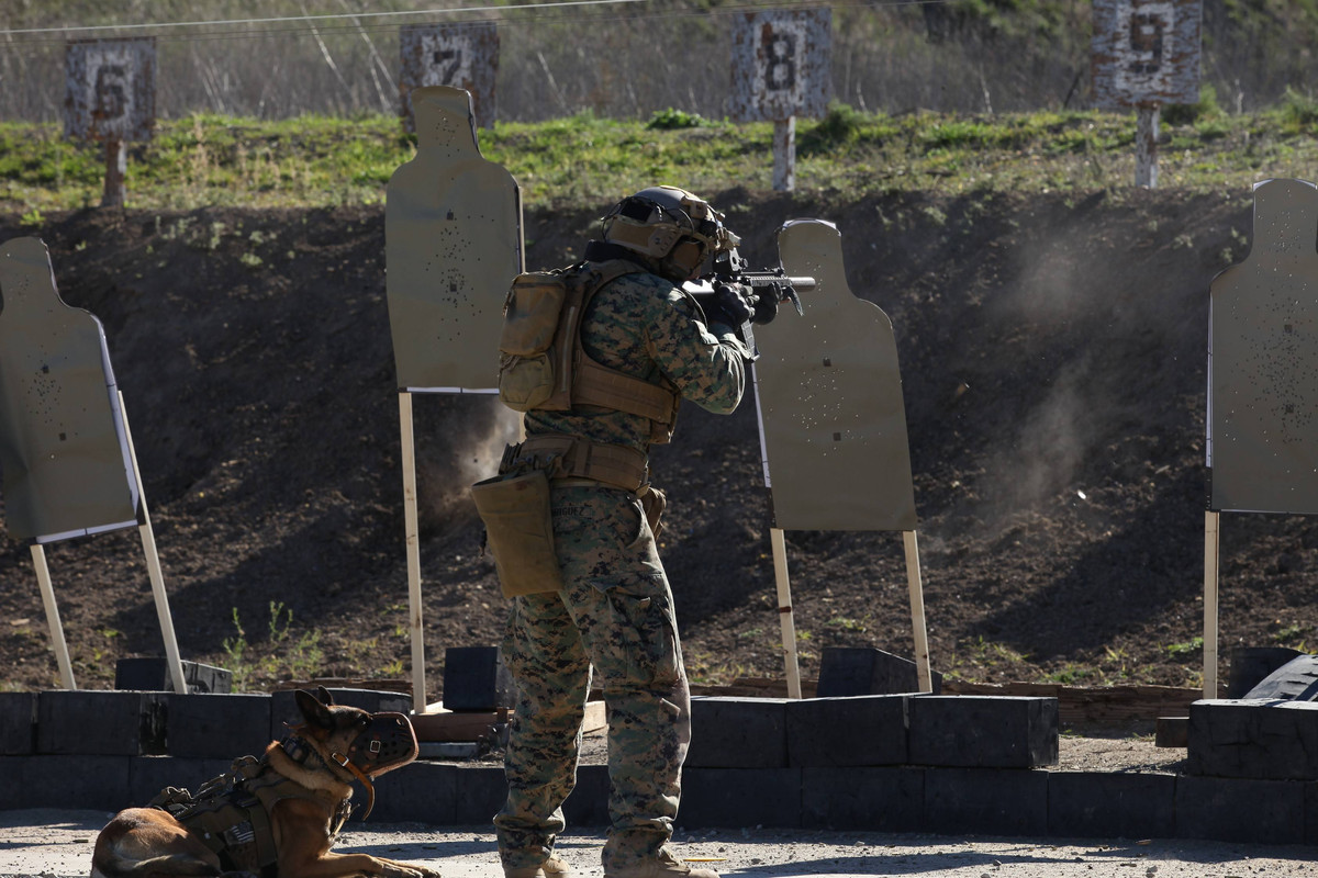 U S MARSOC multipurpose canine handlers5 — Postimages