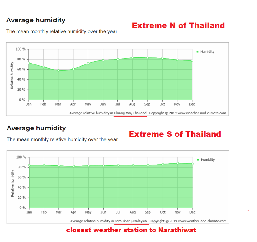 Least humid Thailand areas - Thailand Forum - Tripadvisor