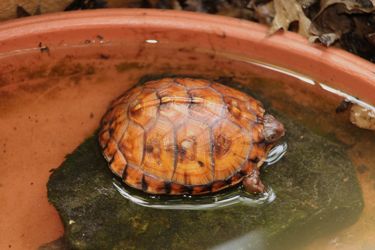 IMG 0789 — Postimages