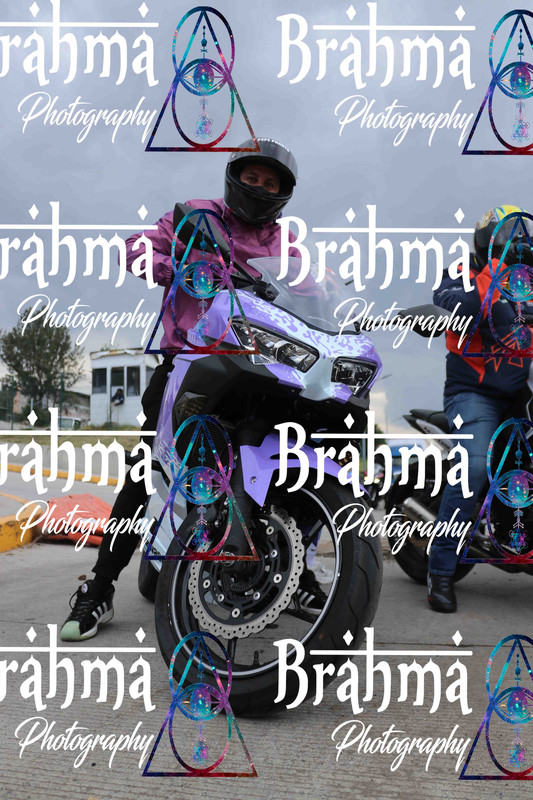 IMG 5510 — Postimages