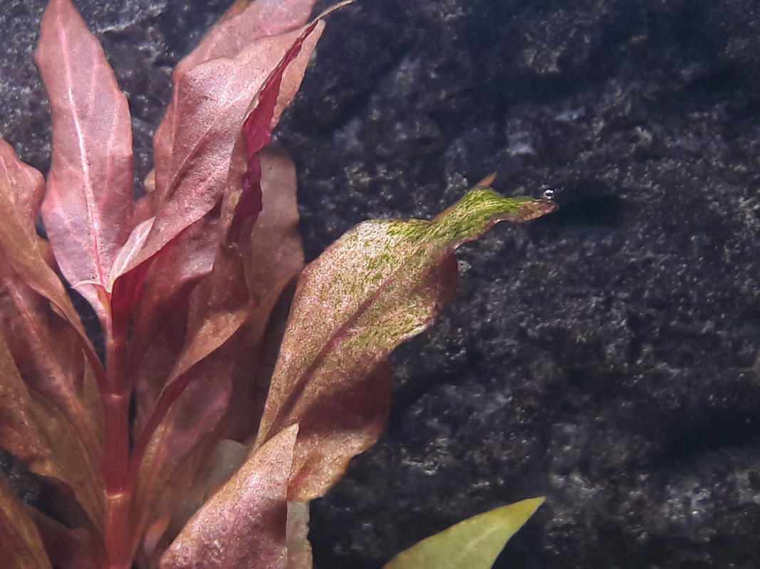 20201116 175321(0) — Postimages