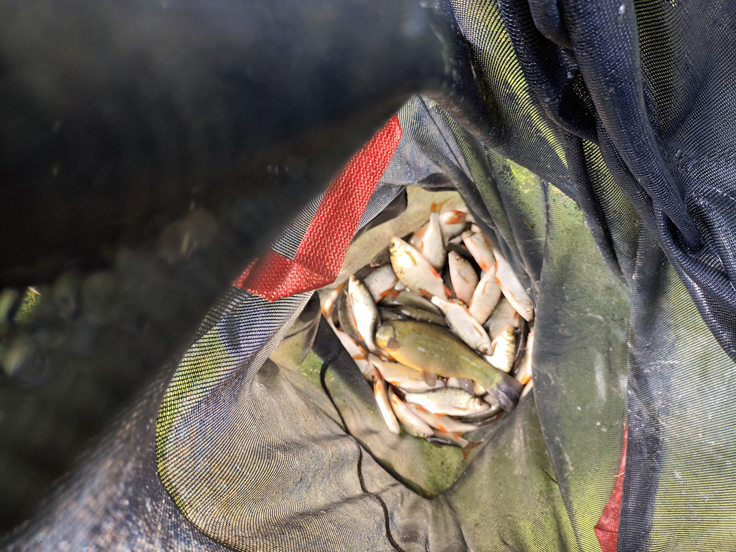 20220613 160610 — Postimages