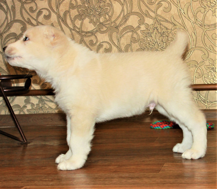 IMG 1506 — Postimages