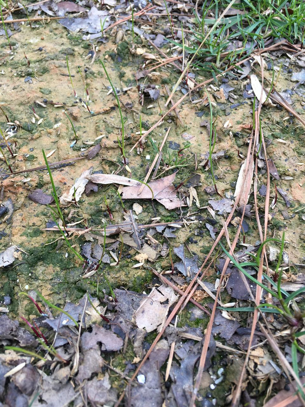 IMG 0399 — Postimages