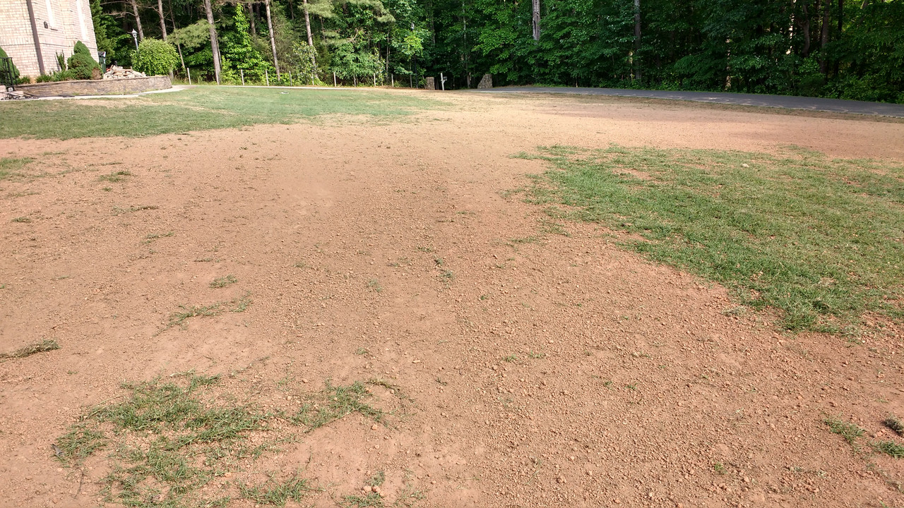 Experiment: Beat Snot Out of Lawn + 1000 lbs Milo + Poor Man's Leveling ...