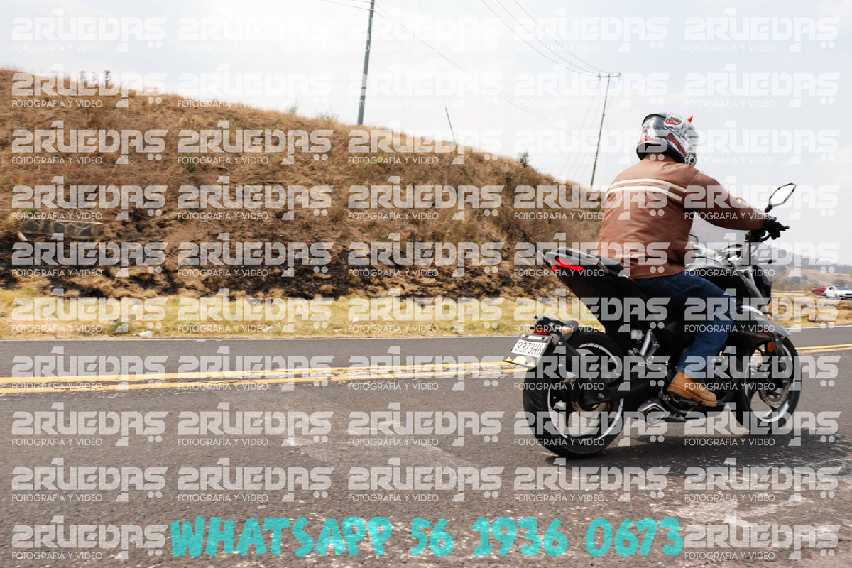 MG 1800 — Postimages