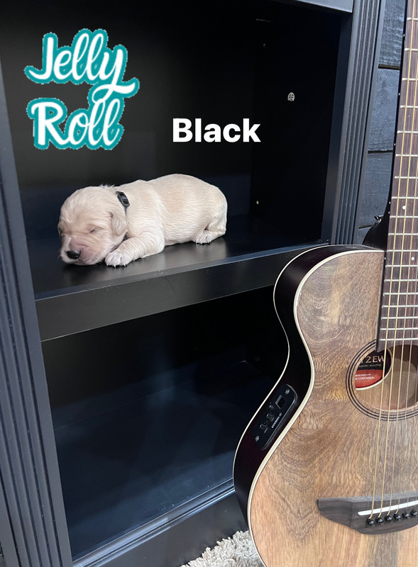 IMG 1602 — Postimages