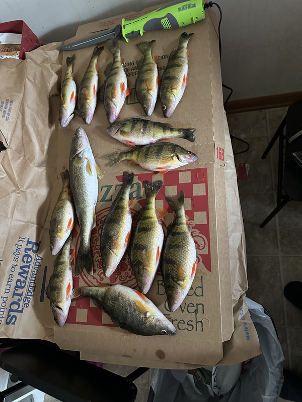 IMG 2583 — Postimages