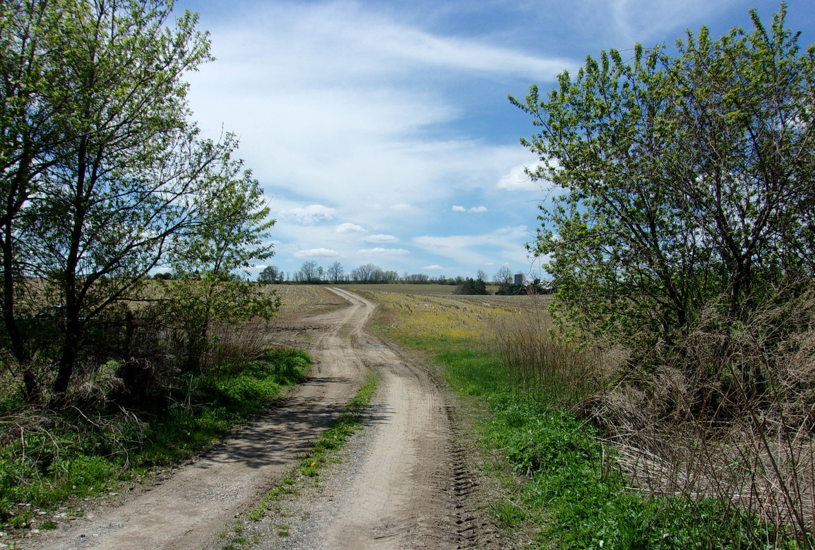 RunningAHEAD - Topic: May - meandering trails and country roads