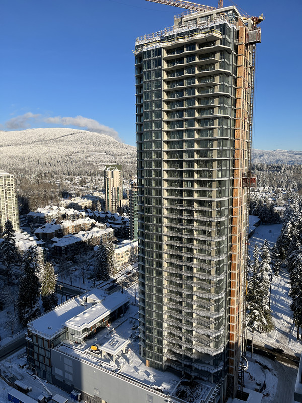 Sophora IMG 90406 22 12 21 — Postimages