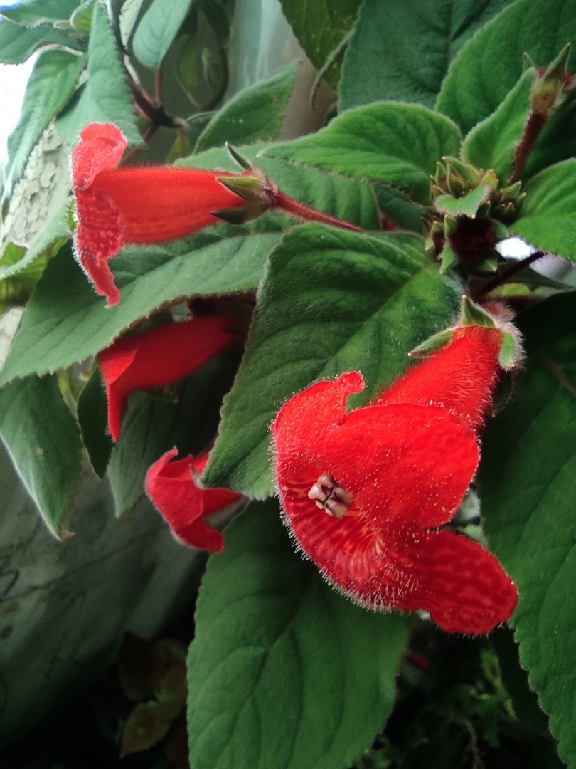 VU30f Om TVXo — Postimages